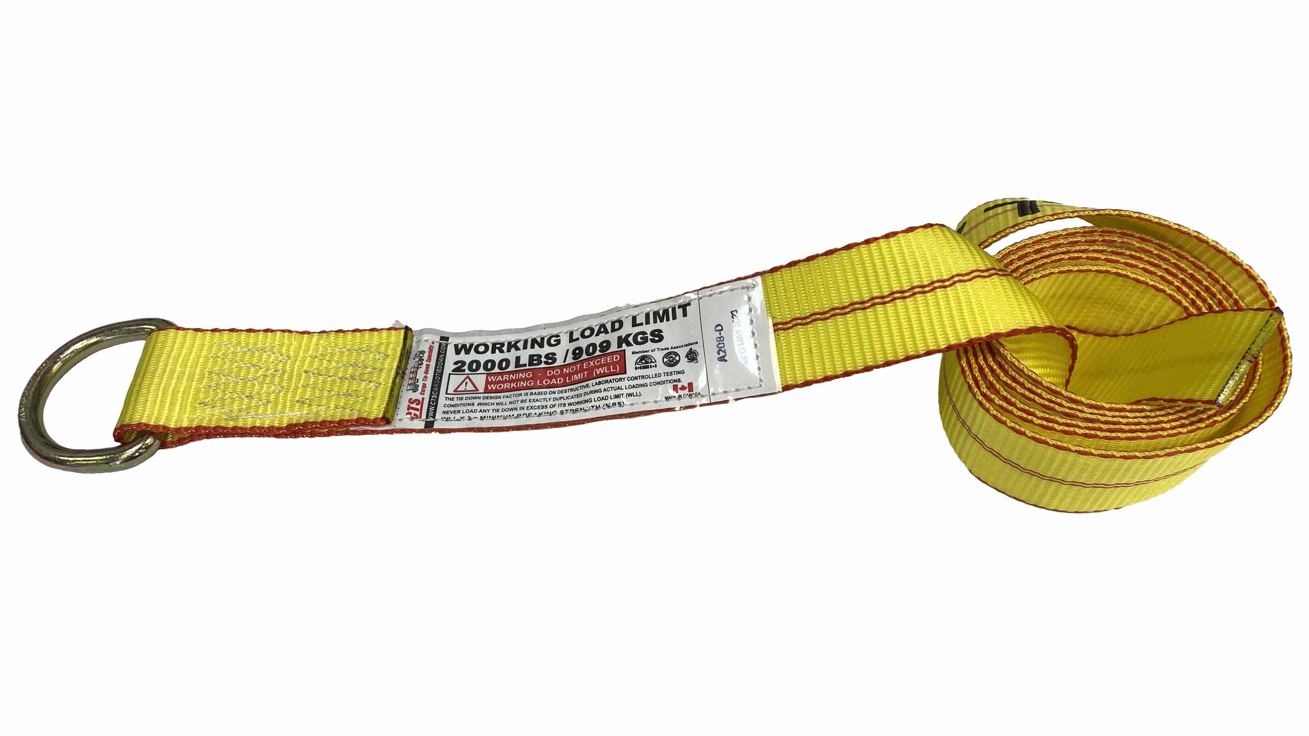 LASSO STRAP with D-Ring – CTS Cargo Tie-Down Specialty