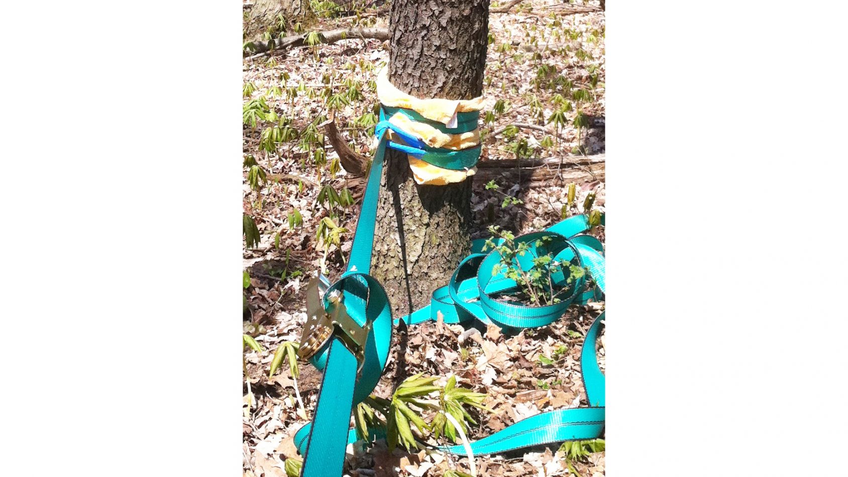 Slackline Kit – CTS Cargo Tie-Down Specialty